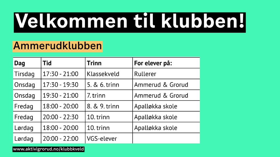 Ammerud skole